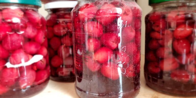 How To Can Cherries at Home (No Pressure Canner) - Natasha's Home
