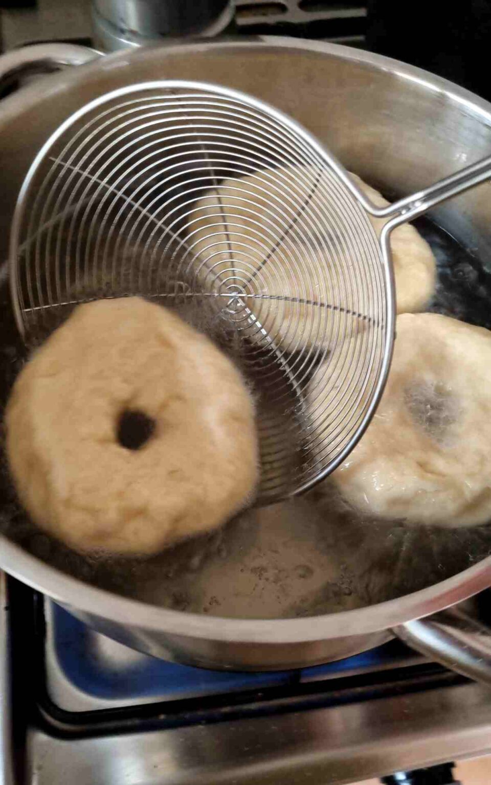 Sourdough Discard Bagels (Easy!) - Natasha's Home