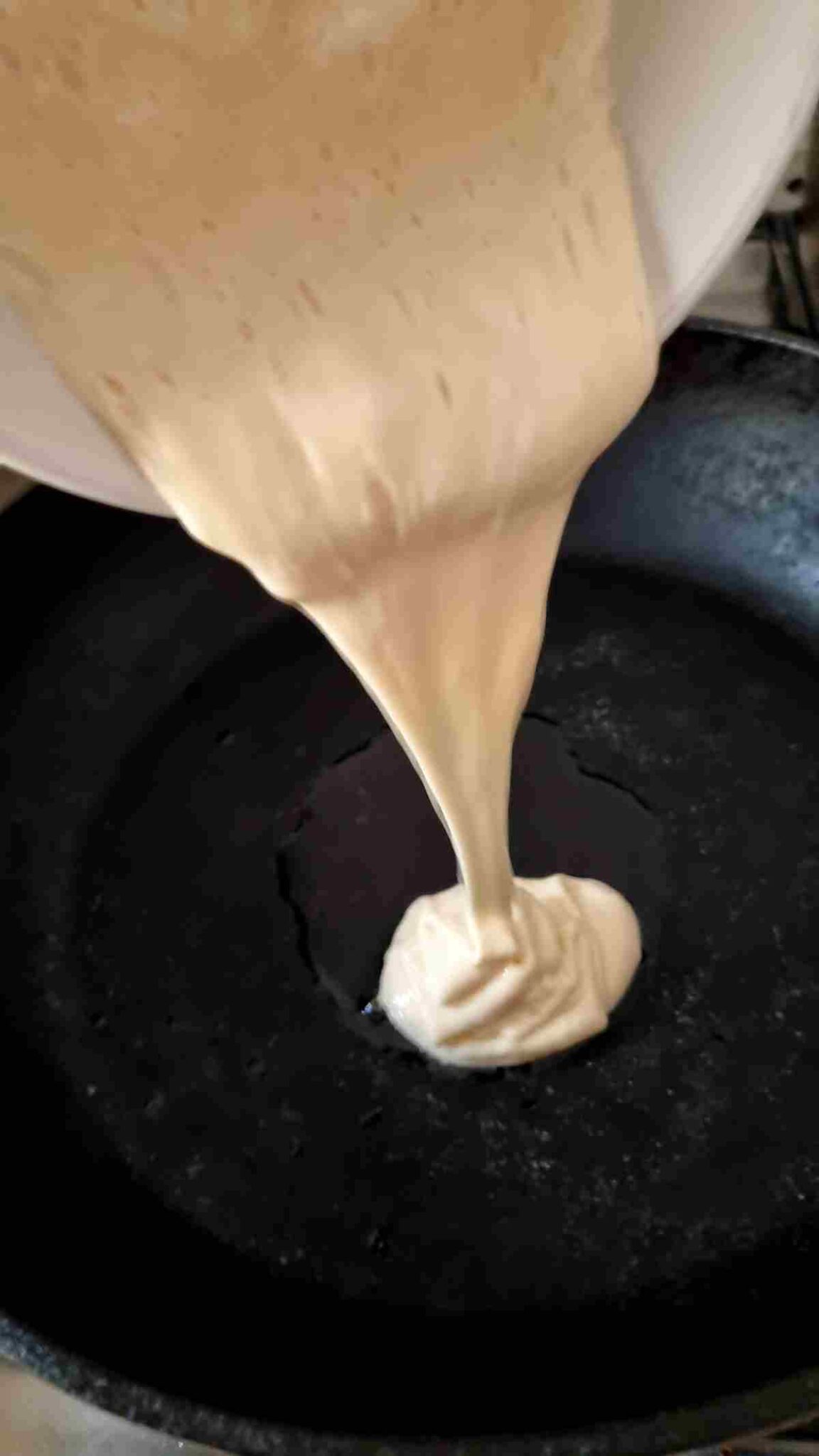 Fried Sourdough Starter (Discard) - Natasha's Home