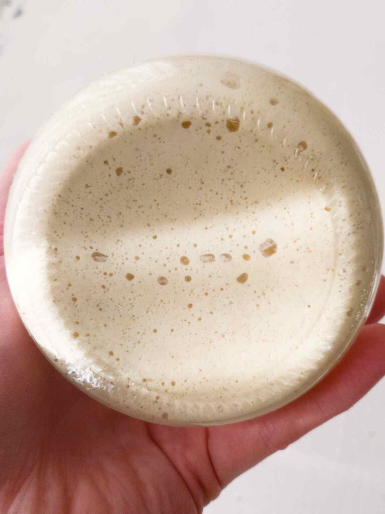 Whole-Grain Millet Sourdough Starter - Natasha's Home
