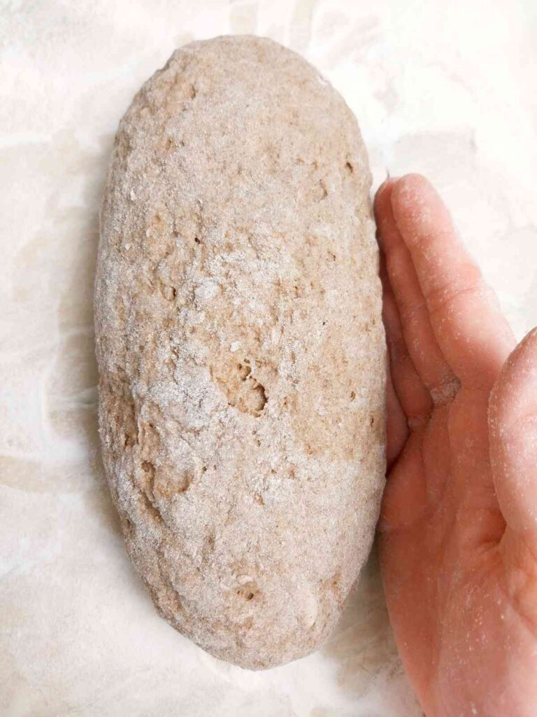 The Best Teff Bread - Natasha's Home