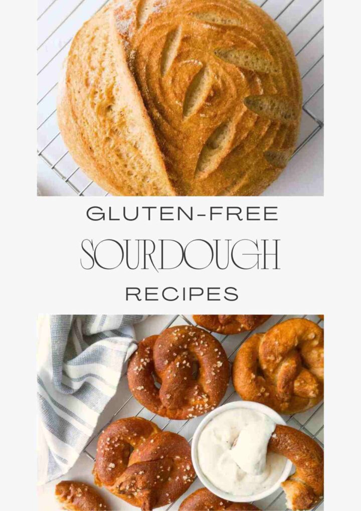 Whole-Grain Millet Sourdough Starter - Natasha's Home