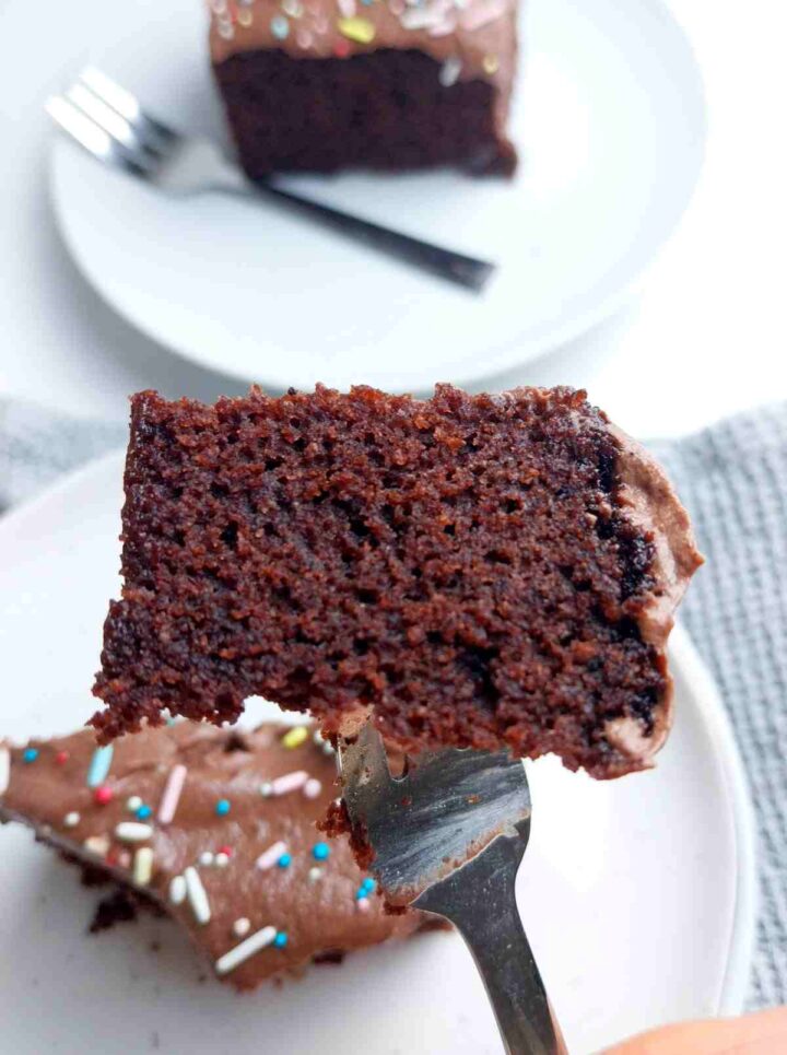 Moist Buckwheat Chocolate Cake - Natasha's Home