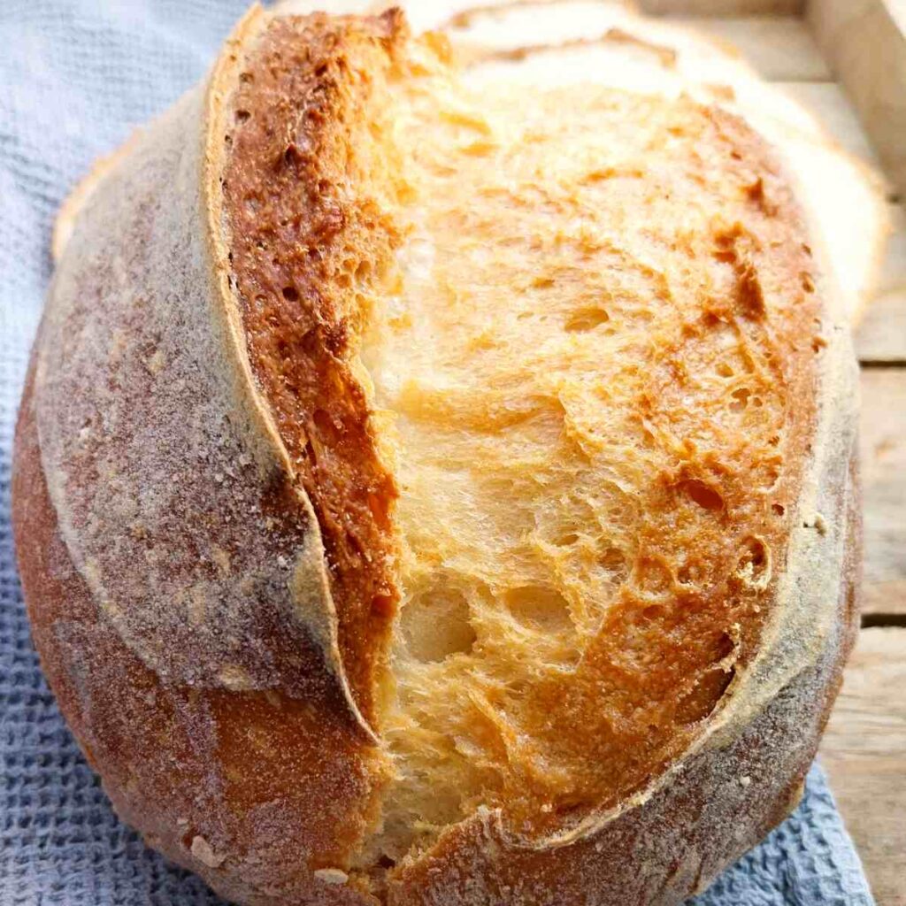 Gluten-Free Dutch Oven Bread - Natasha's Home